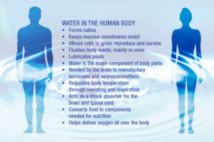 How does water affect the human body? - Waterways